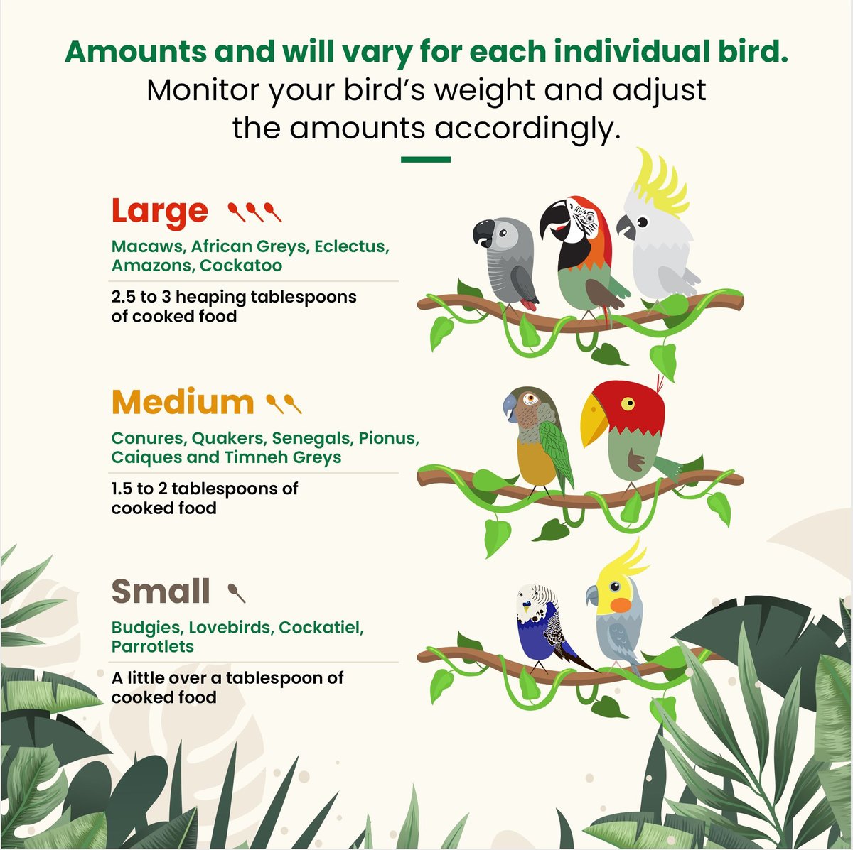 BIRD STREET BISTRO Tropical Feast on the Fly Bird Food, 20-oz, case of ...