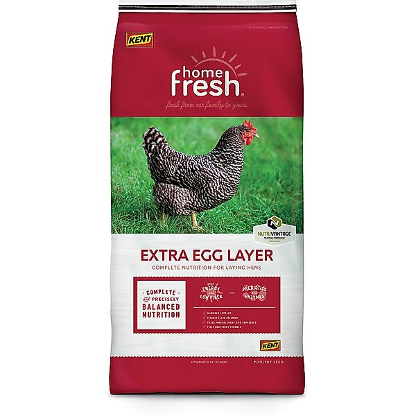 BLUE SEAL Home Fresh Extra Egg Layer 16% Protein Pellets Poultry Feed ...