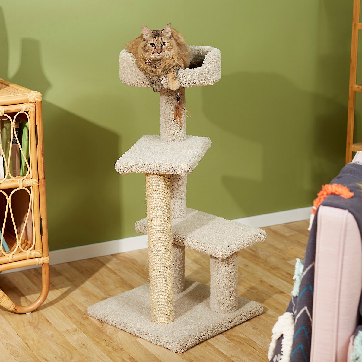 Questions and Answers about FRISCO 41.5-in Real Carpet Solid Wood Cat Tree
