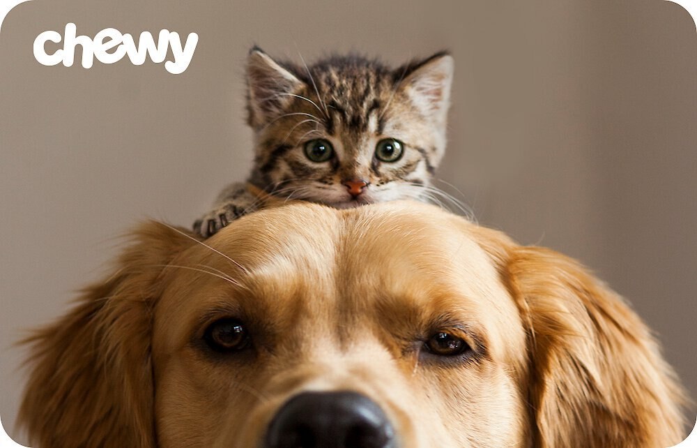 CHEWY eGift Card, Pets Bring Us Together, $75 - Chewy.com
