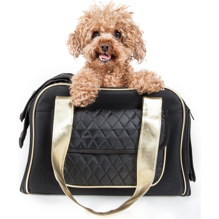 EXTRA SMALL DOG CARRIERS (Free Shipping) | Chewy