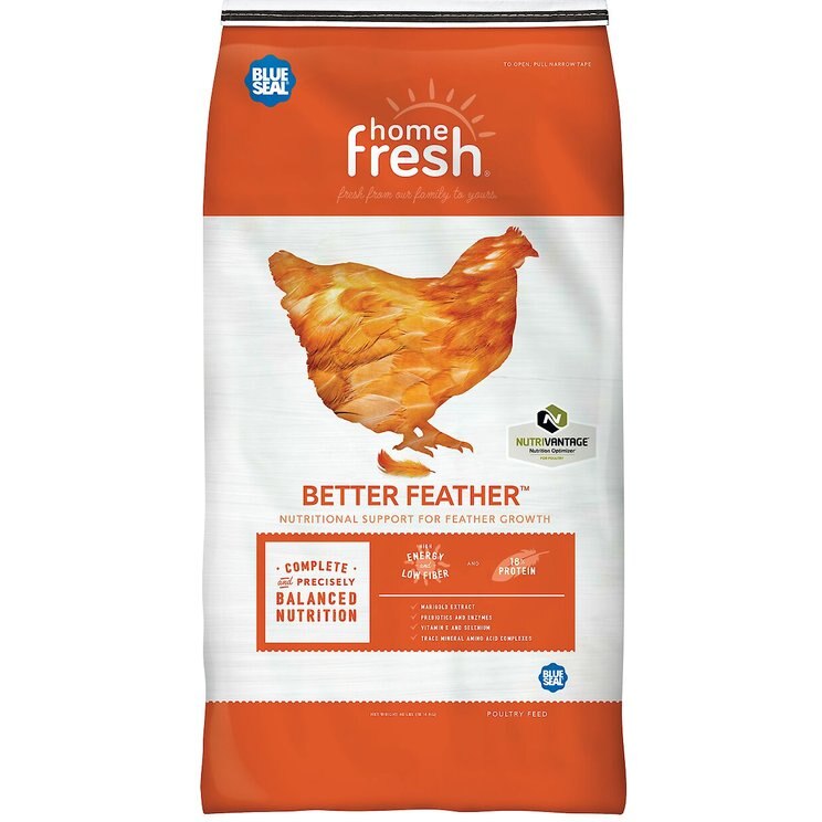 PELLET FEED FOR CHICKENS (Free Shipping) | Chewy