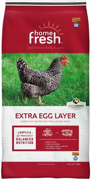 KENT / BLUE SEAL Home Fresh Extra Egg Layer 17% Protein Crumbles ...