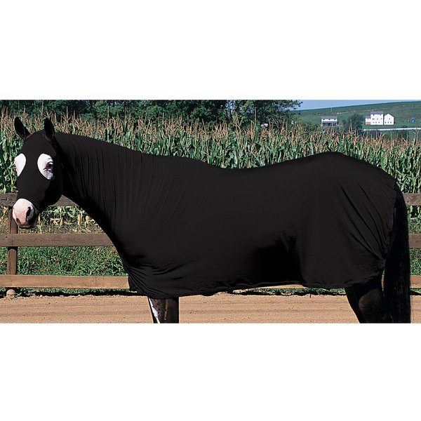 GATSBY StretchX Full Body Slicker Horse Sheet, Black, Small - Chewy.com
