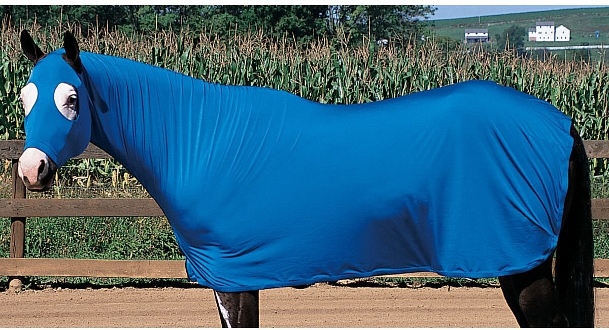Discontinued - WEAVER EQUINE Lycra Horse Sheet, Blue, Large - Chewy.com