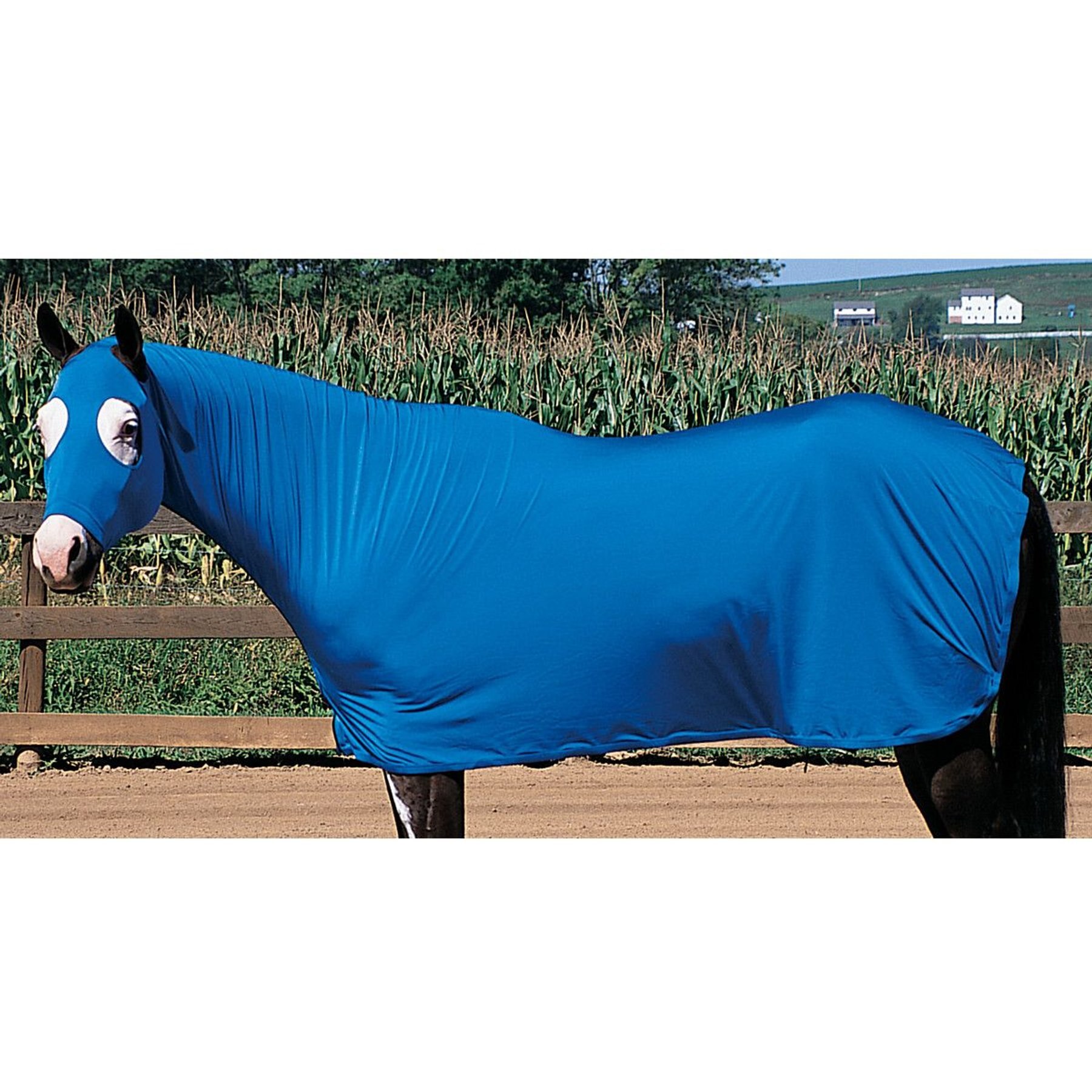 WEAVER LEATHER Lycra Horse Sheet, Blue, Large - Chewy.com