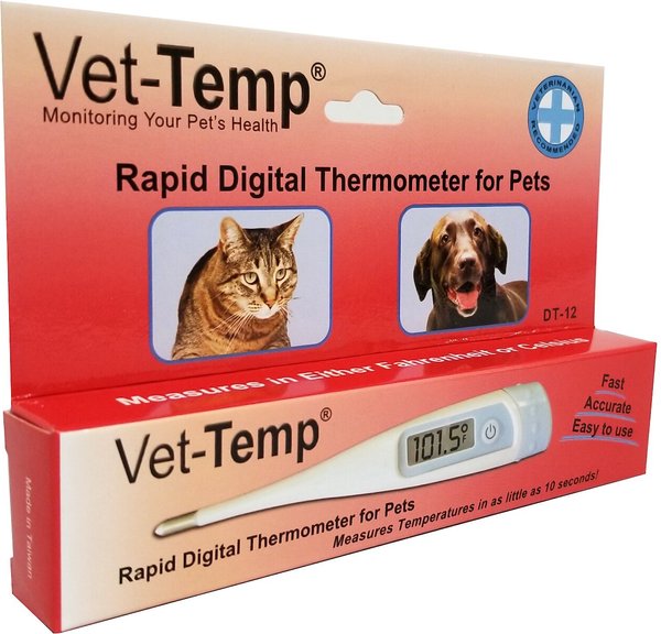 VET-TEMP Rapid Digital Dog & Cat Thermometer - Chewy.com