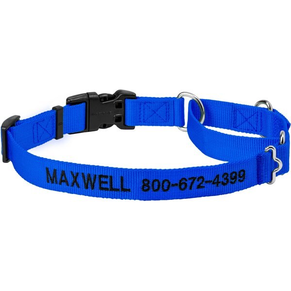 GOTAGS Nylon Personalized Dog Collar, Blue, Large: 18 to 26-in neck, 1 ...