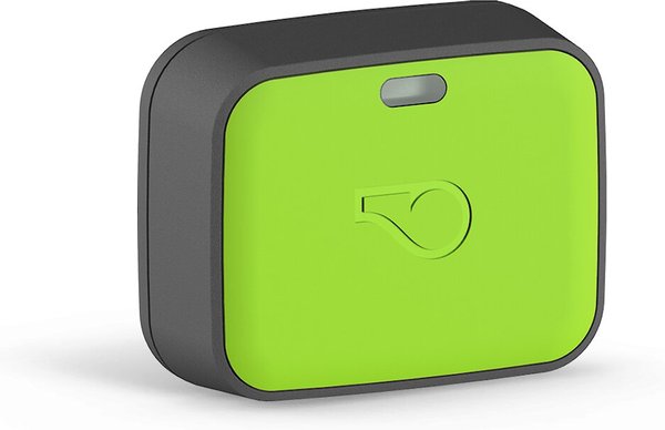 WHISTLE Go Explore Dog GPS Tracker, Green - Chewy.com