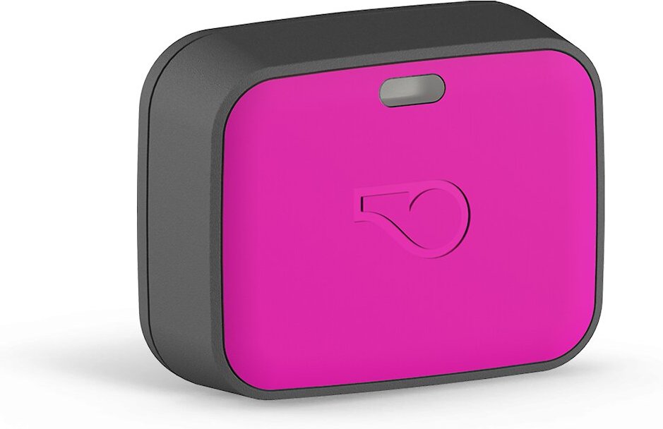 WHISTLE Go Explore Dog GPS Tracker, Magenta - Chewy.com