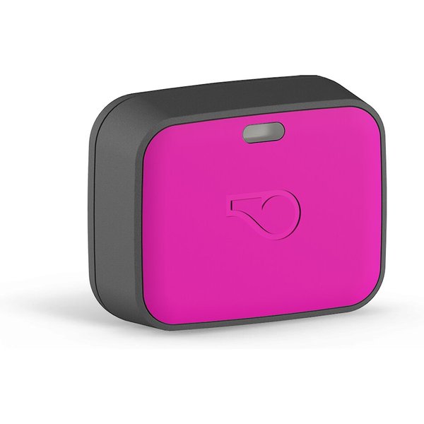 WHISTLE Go Explore Dog GPS Tracker, Magenta - Chewy.com