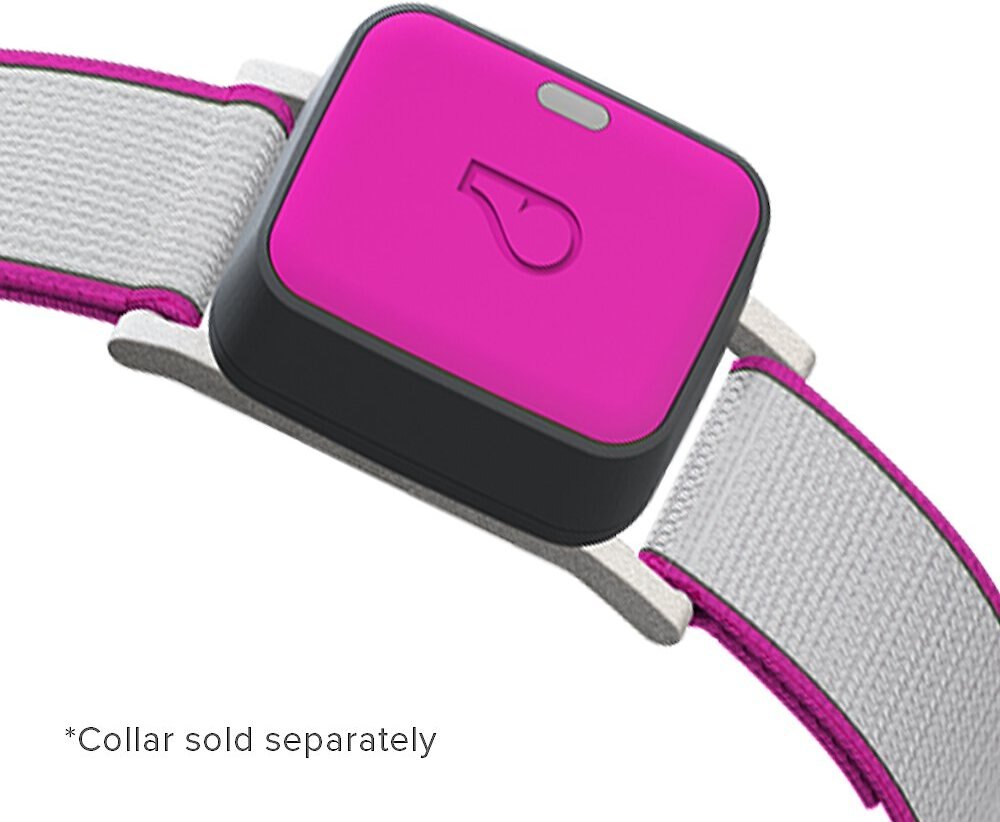 WHISTLE Go Explore Dog GPS Tracker, Magenta - Chewy.com