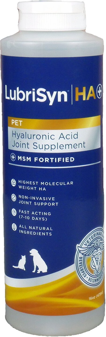 LUBRISYN HA Plus MSM Joint Health Liquid Dog, Cat & Horse Supplement ...