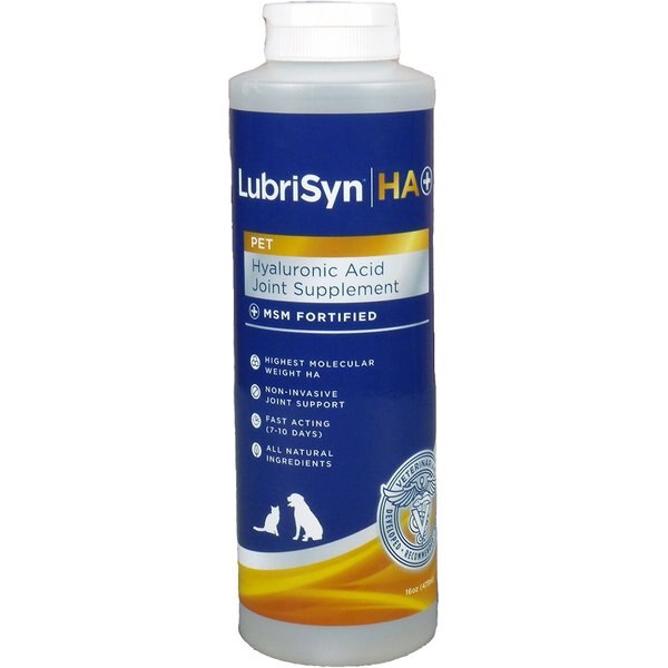 LUBRISYN HA Plus MSM Joint Health Liquid Dog, Cat & Horse Supplement ...