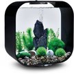 BIORB Aquarium Decor Set, 8-gal, Stone Garden - Chewy.com