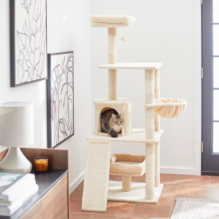 FRISCO CAT TREES & CONDOS (Free Shipping) | Chewy