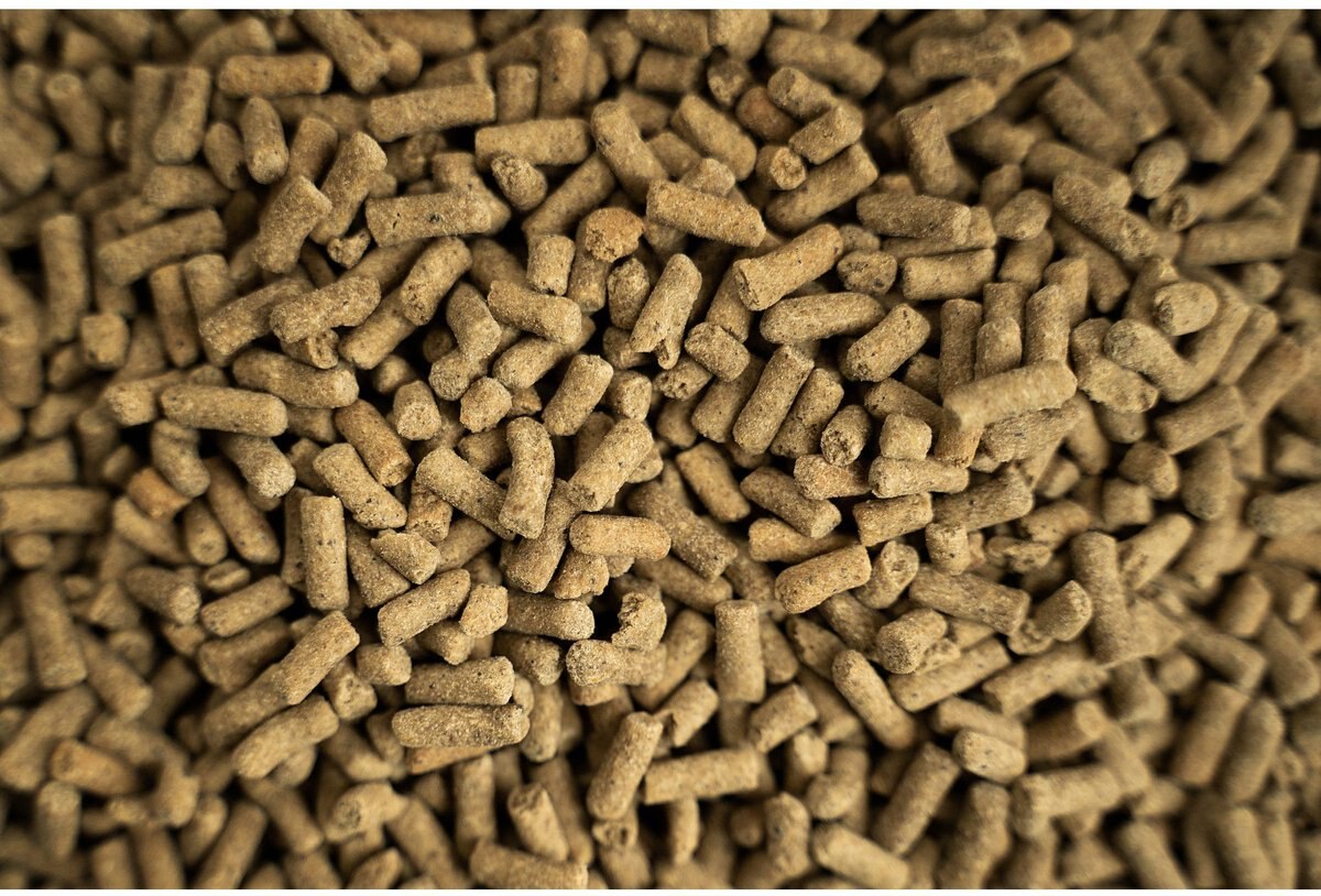 BUCKEYE NUTRITION Ultimate Recovery Extruded Performance Pellets Horse ...