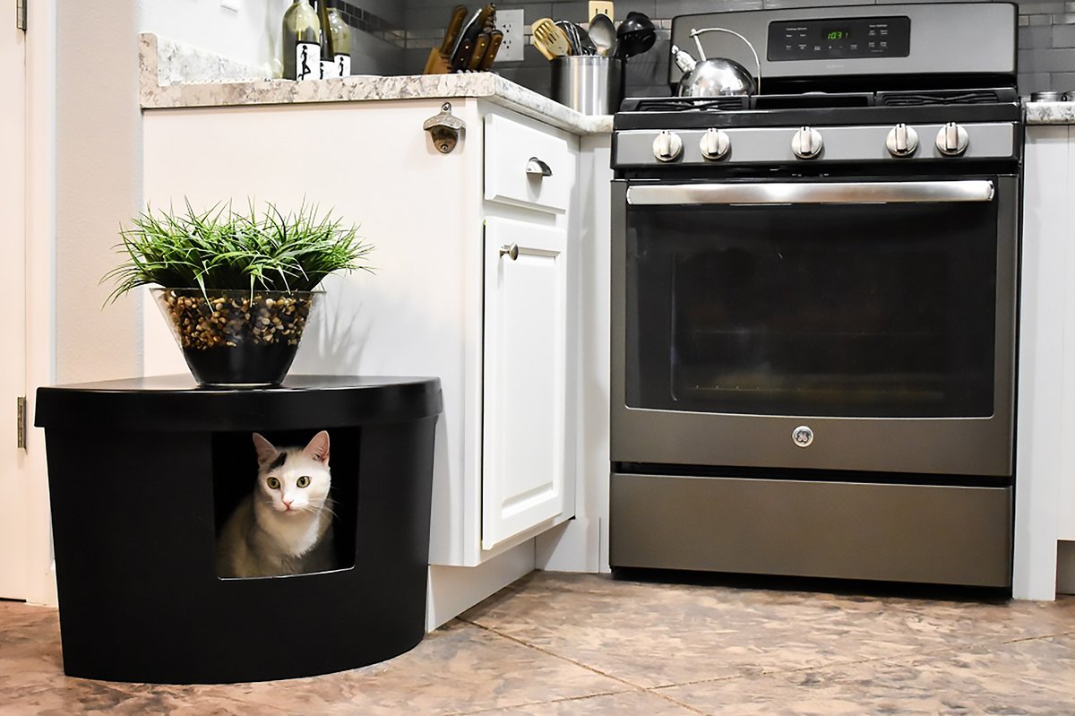 KITANGLE Corner Kitty Cat Litter Box, Large, Black - Chewy.com