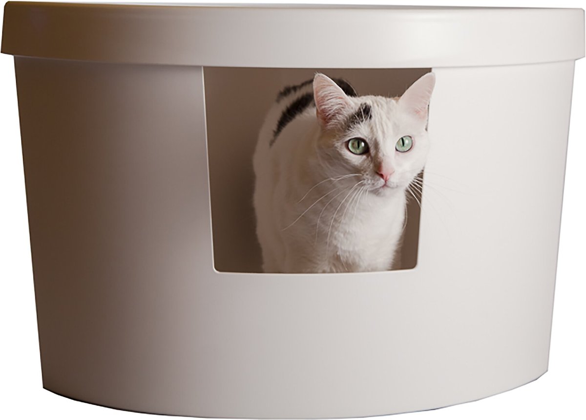 KITANGLE Corner Kitty Cat Litter Box, Large, White - Chewy.com