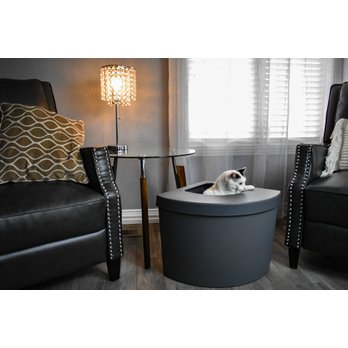 Corner Litter Boxes - Free shipping | Chewy