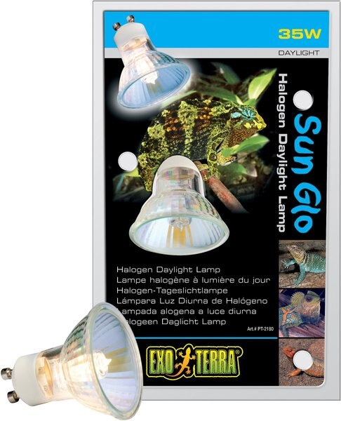 EXO TERRA Sun Glo Halogen Daylight Reptile Lamp, 35-w bulb, 3 count ...