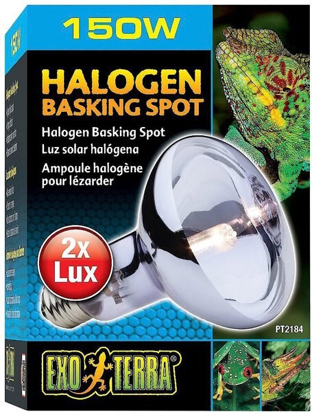 Discontinued - EXO TERRA Sun Glo Halogen Daylight Reptile Lamp, 150-w ...