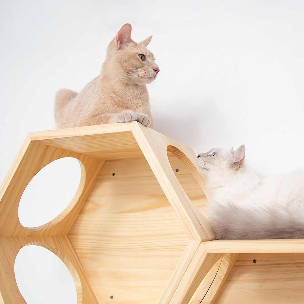 Temporarily Unavailable - MYZOO BusyCat Wall Mounted Cat Shelf - Chewy.com