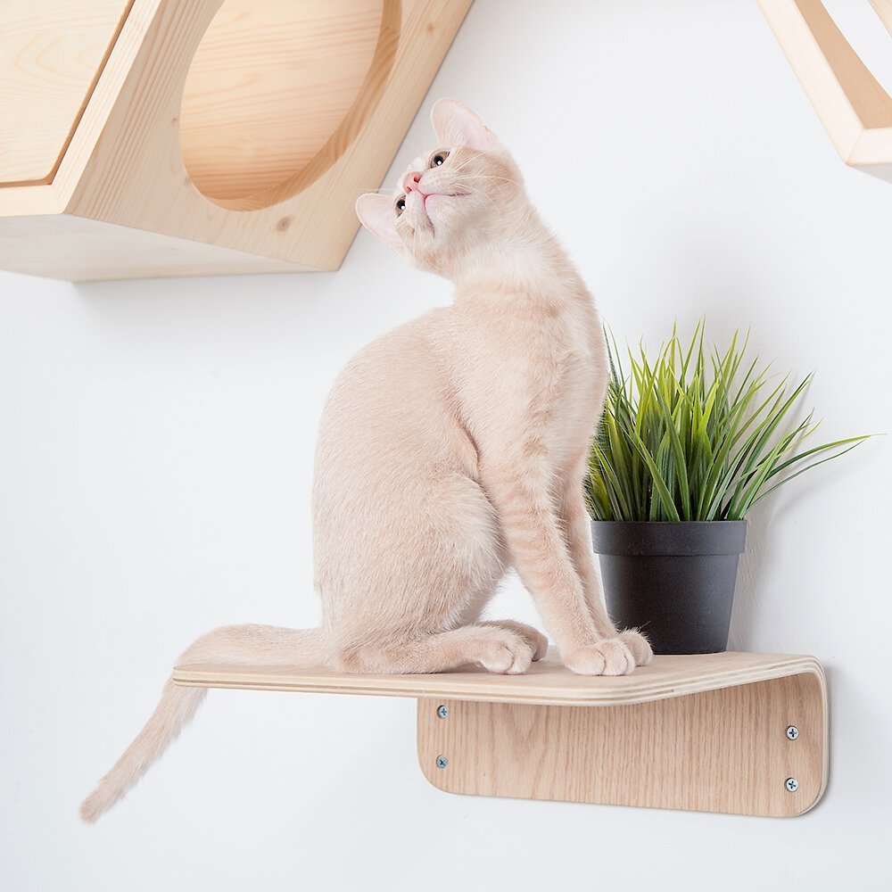 Temporarily Unavailable - MYZOO Lack Wall Mounted Cat Shelves, 2 count, Medium - Chewy.com