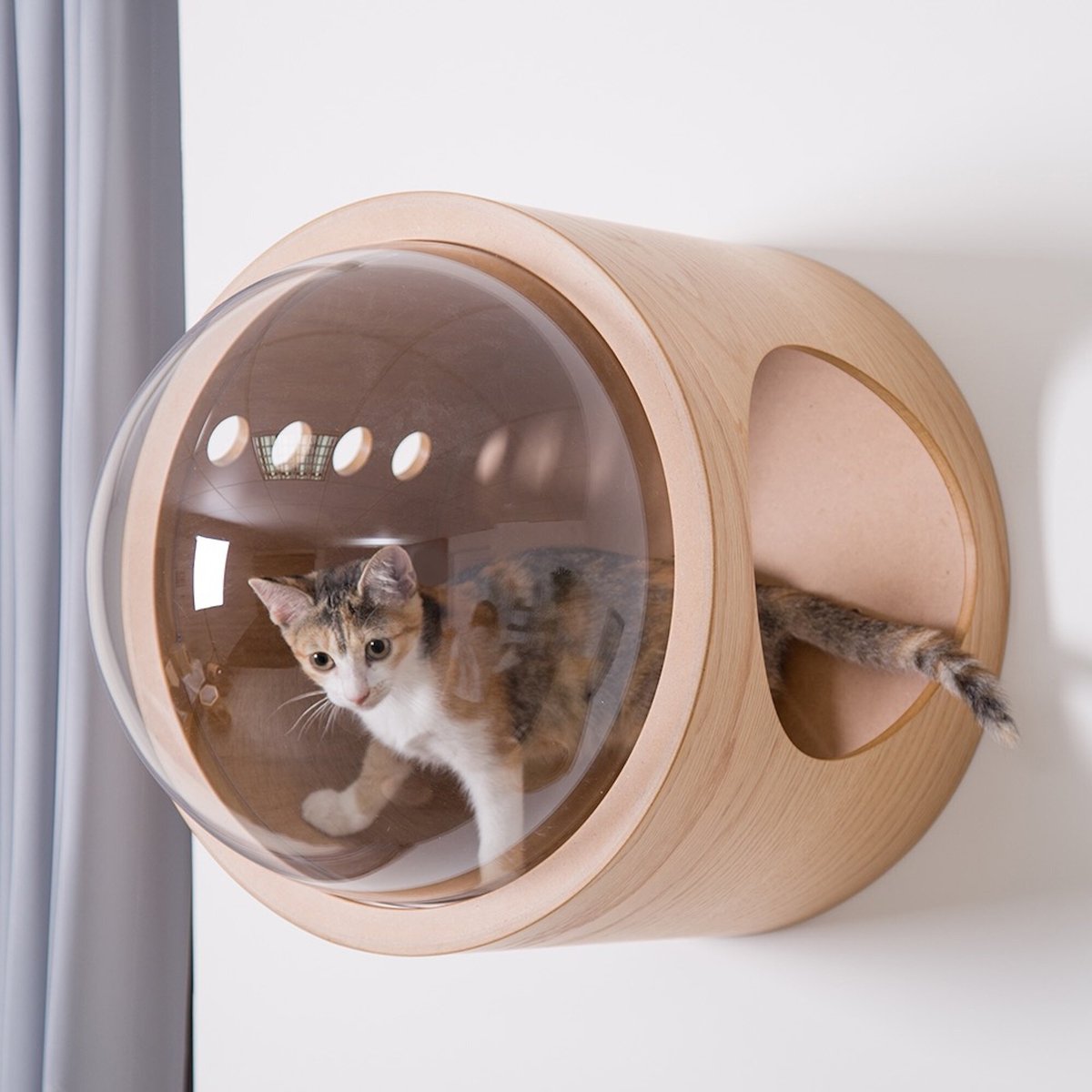 Temporarily Unavailable - MYZOO Spaceship Gamma Wall Mounted Cat Wall Shelf, Oak, Left-Open ...
