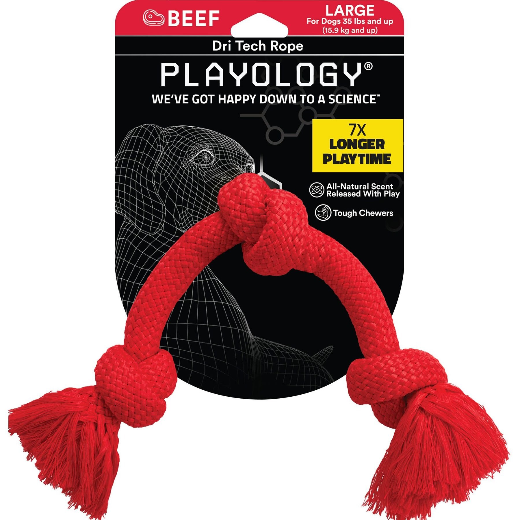 PLAYOLOGY Scented Dri-Tech Rope Dog Toy, Large, Beef Scented - Chewy.com