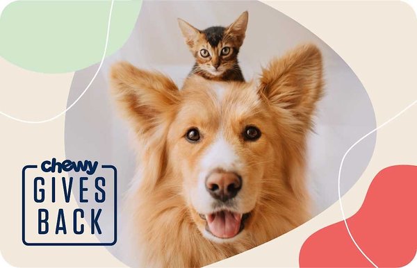 Temporarily Unavailable - Chewy Gives Back eGift Card, $200 - Chewy.com