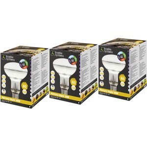 REPTILE SYSTEMS Mercury Vapor D3 UV Reptile Basking Lamp, 3 count, 80-watt - Chewy.com