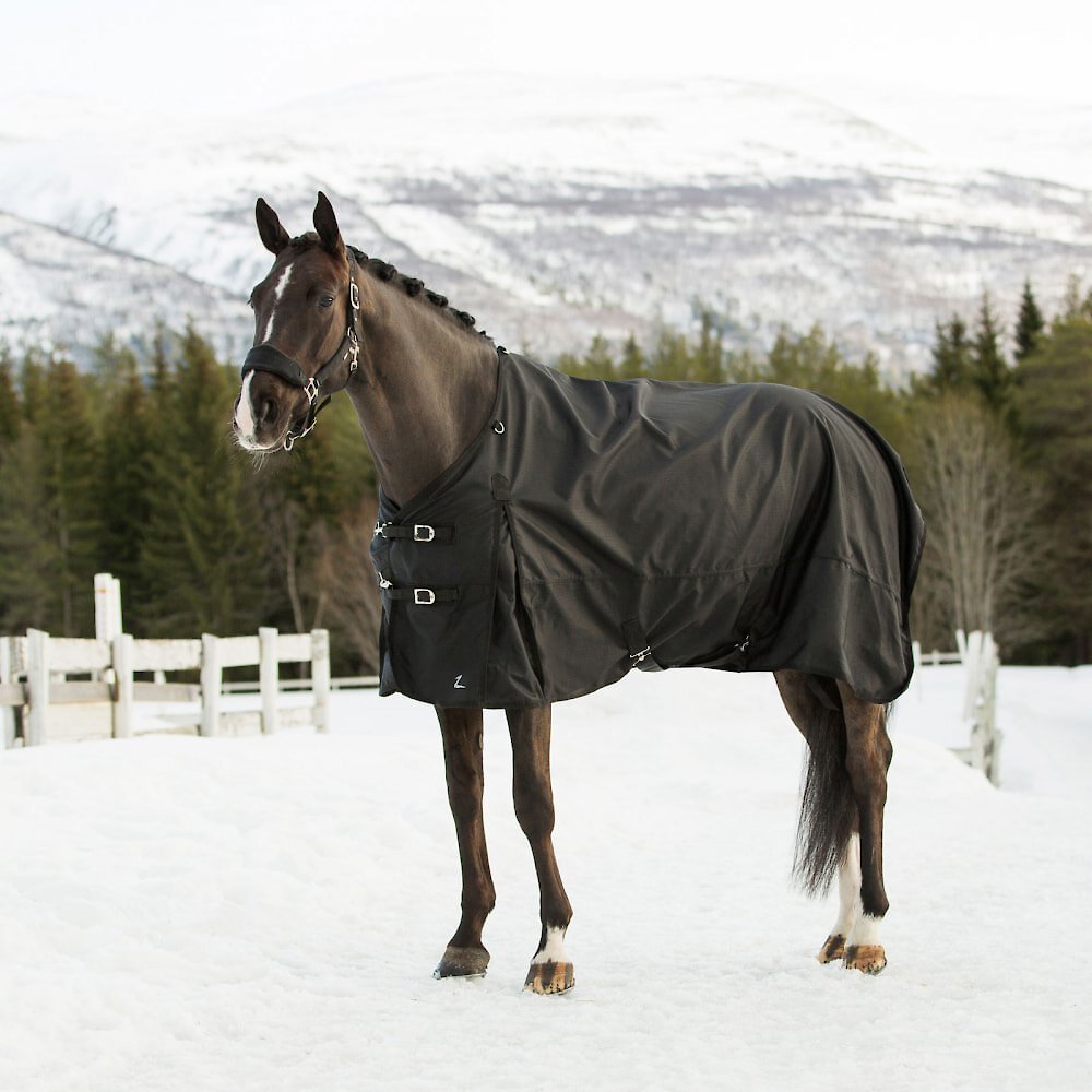 Out of Stock - HORZE EQUESTRIAN Nevada Lightweight Turnout Horse Sheet ...