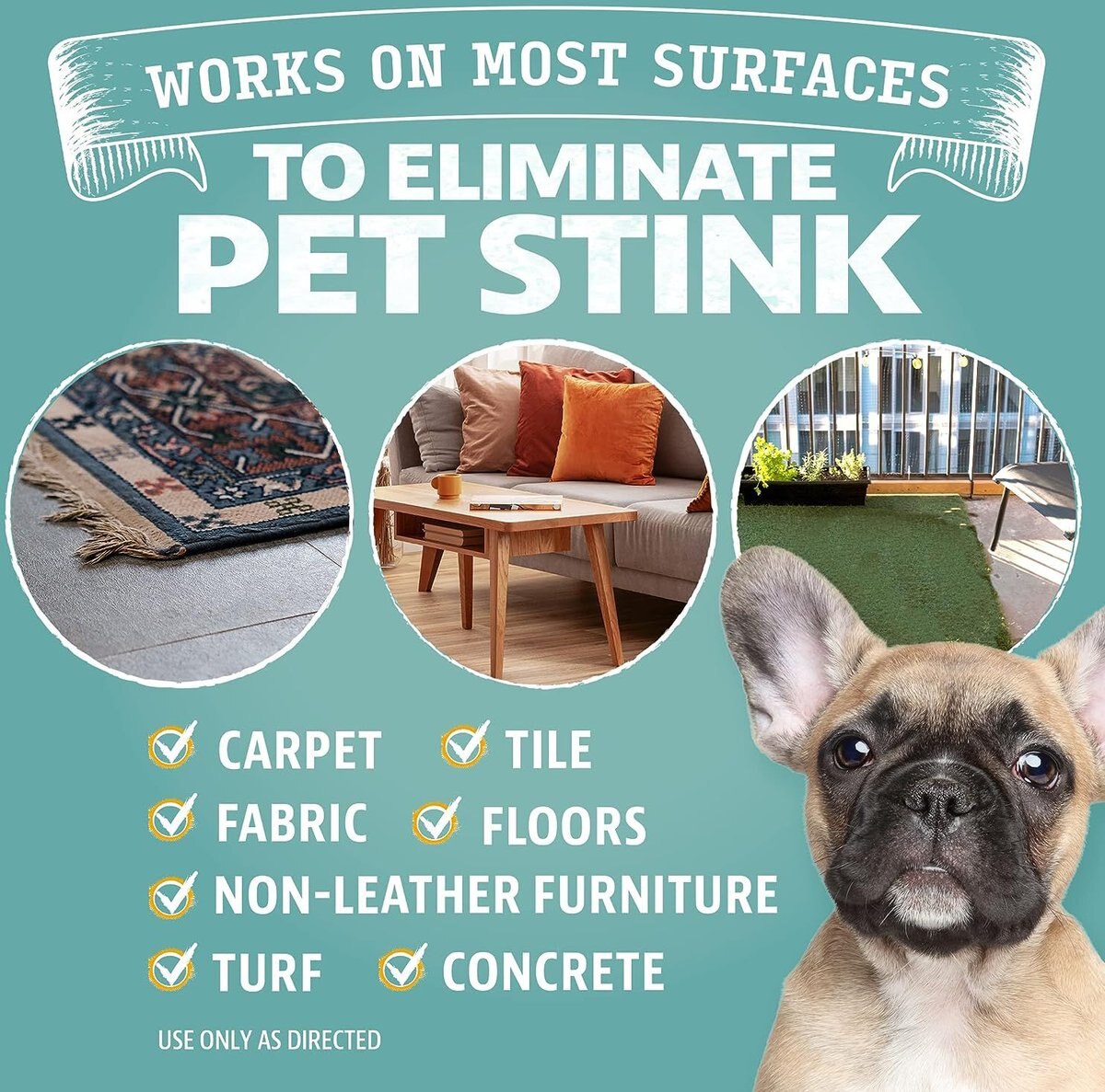 ANGRY ORANGE Pet Odor Eliminator Concentrate, 8-fl oz bottle - Chewy.com