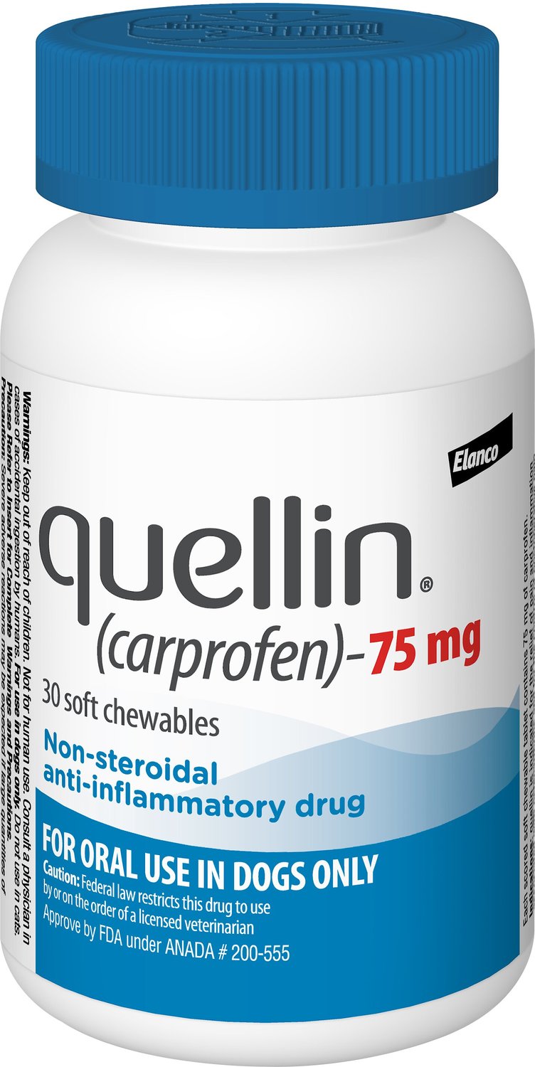 QUELLIN (Carprofen) Chew for Dogs, 75-mg, Bottle of 30 Chews - Chewy.com