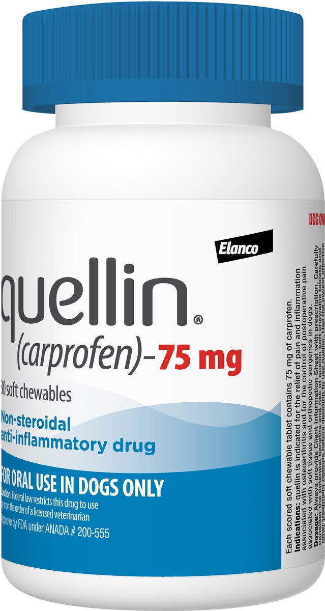 QUELLIN (Carprofen) Chew for Dogs, 75-mg, 30 soft chews - Chewy.com