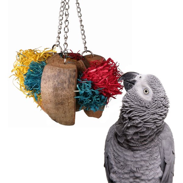SUPER BIRD CREATIONS 4 Way Play Bird Toy, Large - Chewy.com