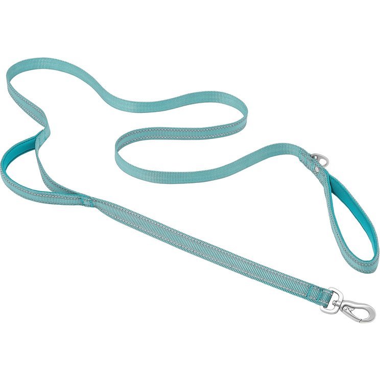 DOG LEASHES FOR SMALL DOGS (Free Shipping) | Chewy