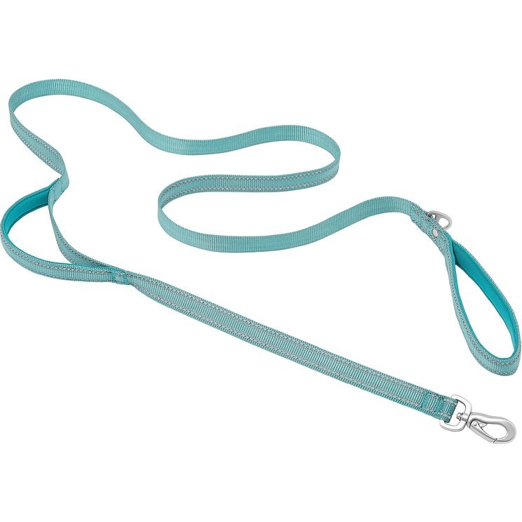 LARGE DOG LEASHES (Free Shipping) | Chewy