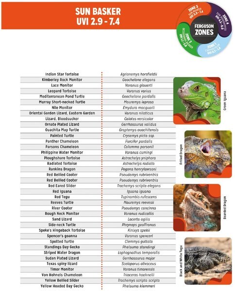 REPTILE SYSTEMS T5 Ferguson Zone 3 12% Desert Reptile Lamp, 39-watt ...