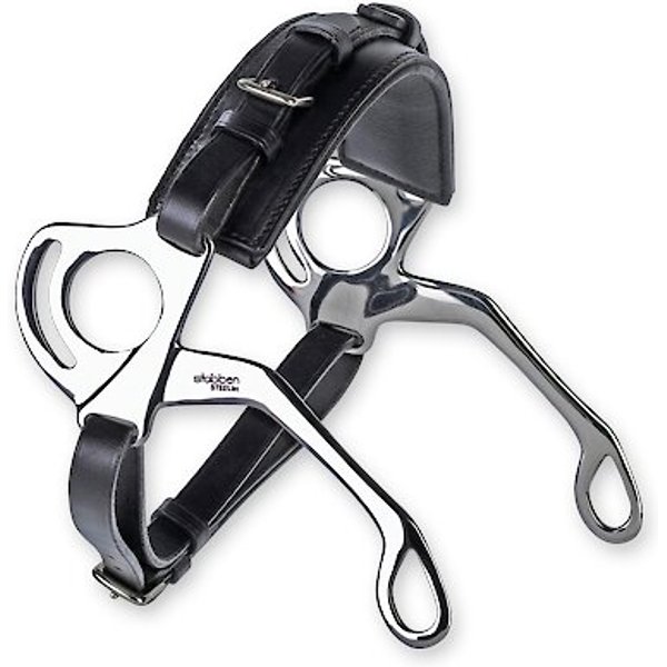 WEAVER EQUINE Justin Dunn Bitless Horse Bridle - Chewy.com