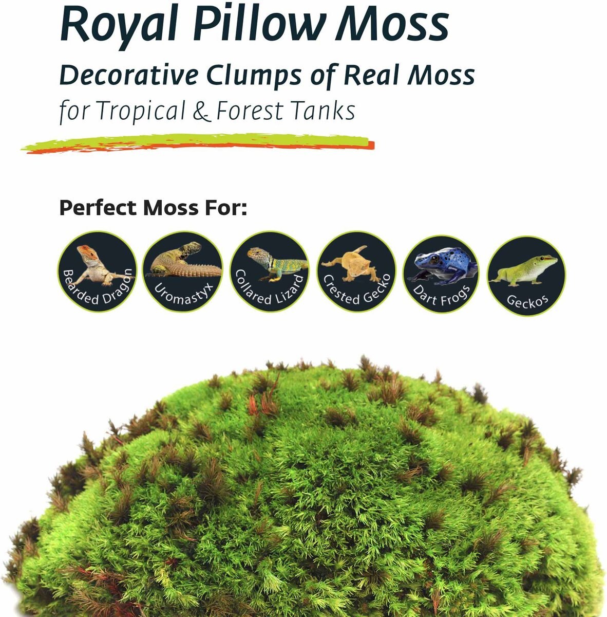 GALAPAGOS Royal Pillow Moss Reptile & Amphibian Terrarium Moss, Fresh ...