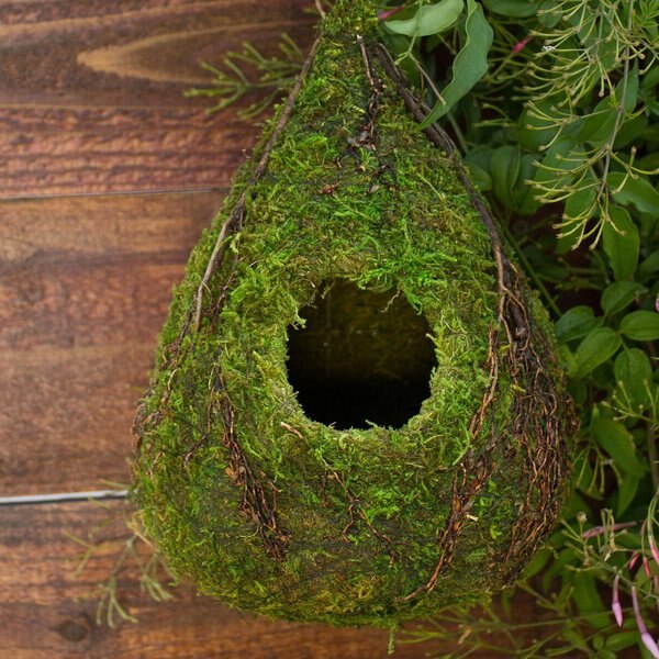 GALAPAGOS Raindrop Deco Birdhouse, Fresh Green - Chewy.com