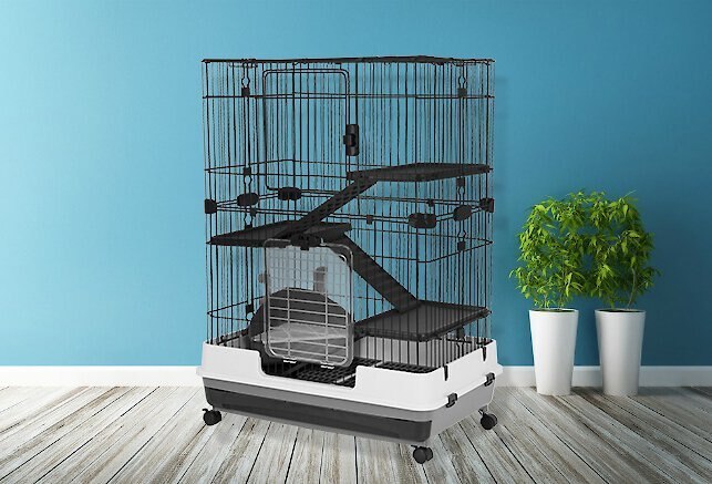 A&E CAGE COMPANY 43-in Deluxe 4-Tier Small Animal Cage, Black - Chewy.com