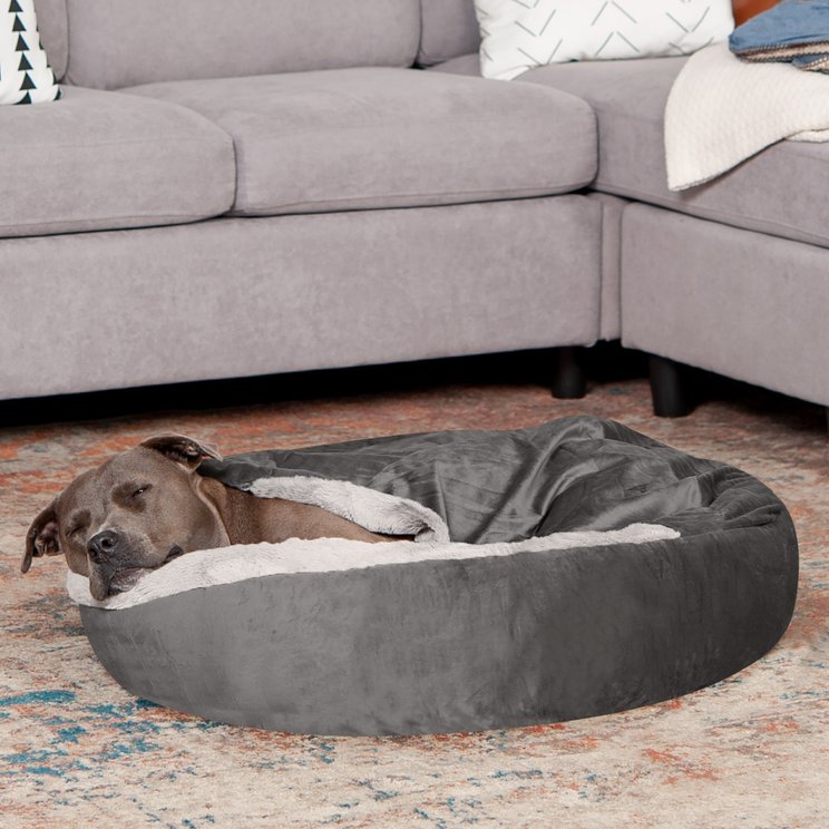 COVERED DOG BEDS FOR MEDIUM DOGS (Free Shipping) | Chewy