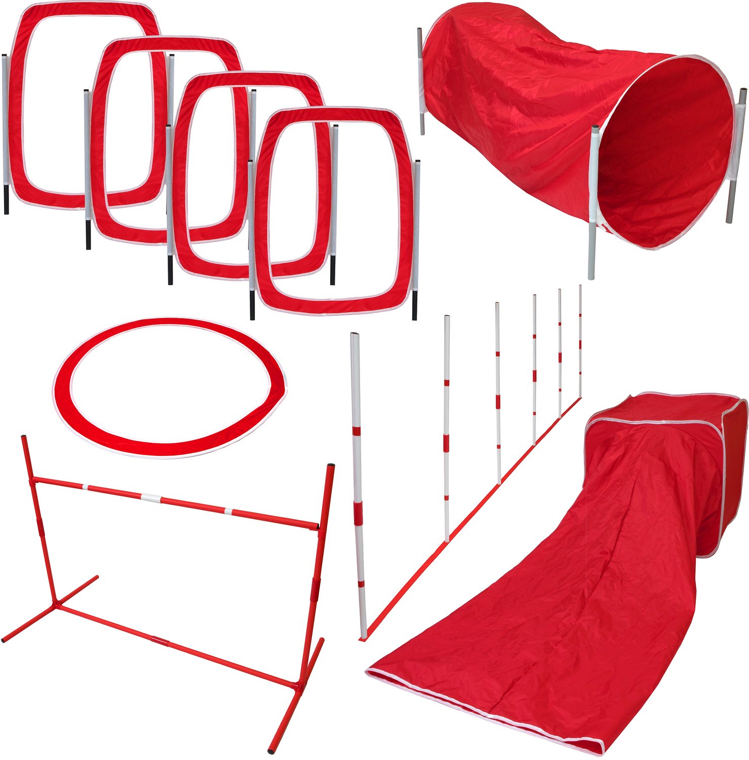 SP Dog 6 Piece Agility Kit - Chewy.com
