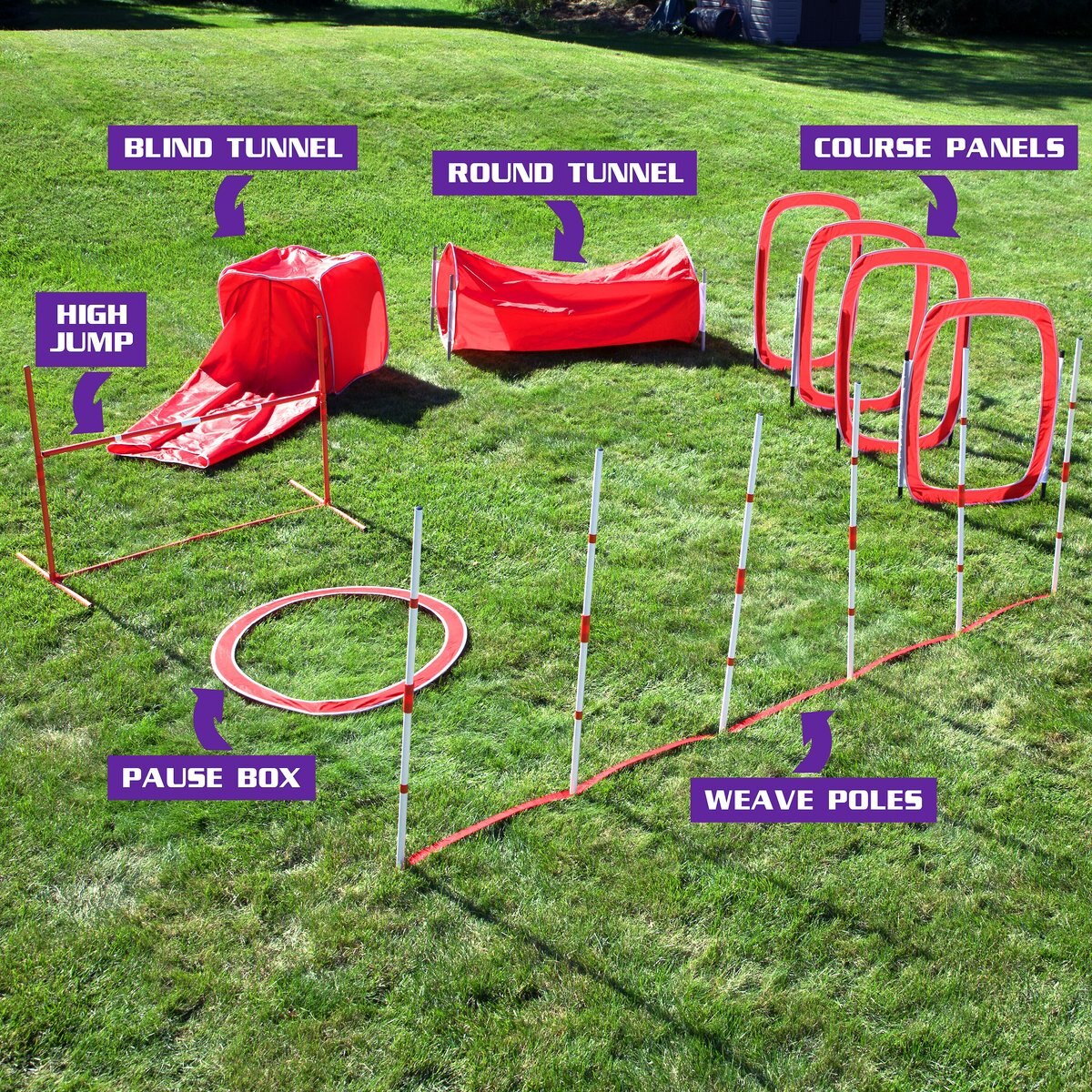 Out of Stock - SPORT PET Dog 6 Piece Agility Kit - Chewy.com