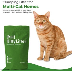 8 Best Flushable Cat Litters 2024: According to Reviews | Chewy