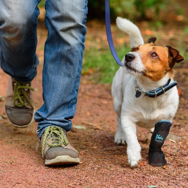 MEDIPAW Rugged Dog & Cat Protective Boot, Large - Chewy.com