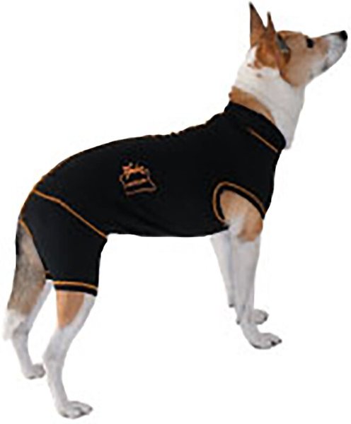 MEDIPAW Recovery Protective Dog Suit, Small Plus - Chewy.com